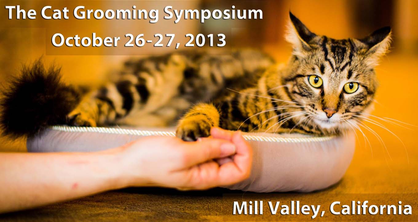 Front Temp - The Cat Grooming Symposium